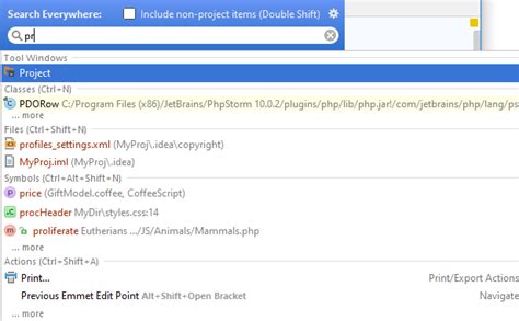 Searching Everywhere Help Webstorm