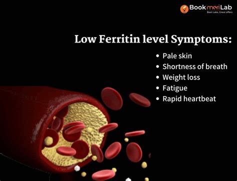 Ferritin Level Kaise Badhaye At John Hipple Blog