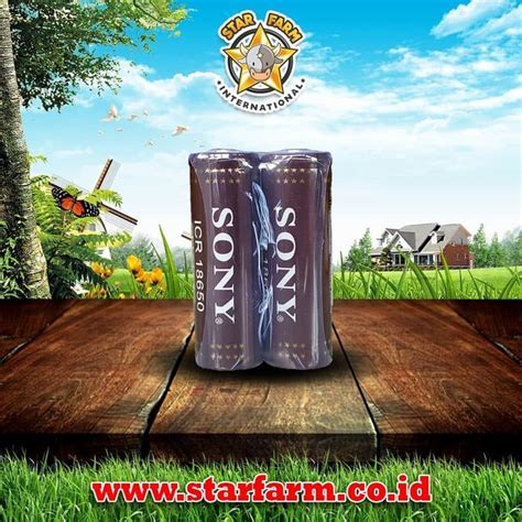 Baterai Recharge Sony Ukuran Star Farm Star Farm International