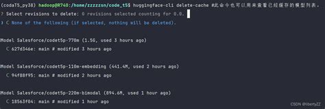 部署 Code T5 大模型（详细步骤） Codet5 Csdn博客