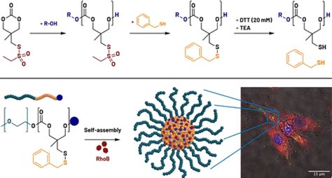 Toward Intracellular Delivery Aliphatic Polycarbonates With Pendant