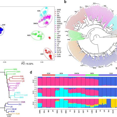 Population Relationship And Structure A Principal Component Analysis