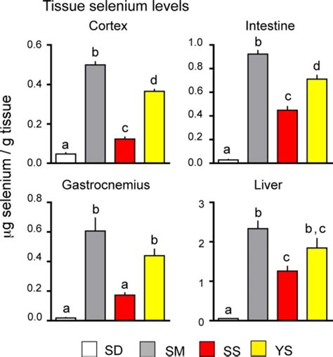 Tissue Levels Of Selenium Mean SEM In Four Tissues From Mice Fed A Download Scientific