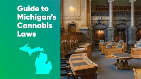Guide To Michigans Cannabis Laws Legalization Wheres Weed Blog