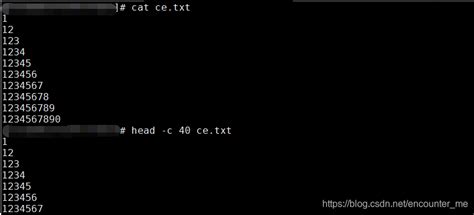 linux 查看或者显示文件某一行或多行内容 linux查看怎么显示更多 csdn博客