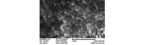 Sem Fractograph Of The Crack Propagation Zone Download Scientific