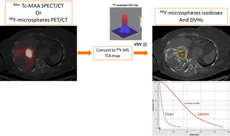 Voxel Based Dosimetry Process Illustrating How 99m Tc Maa Spect Ct And Download Scientific