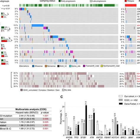 Kmt2d Mutations And Their Functional Impacts On Cll Cells A Pairwise Download Scientific