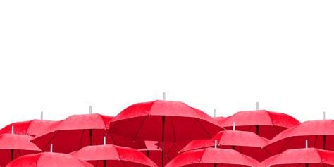 On Sex Worker Pride Day Human Rights Organizations Urge Congress To