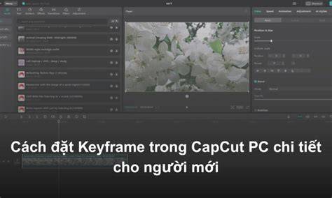 Instructions On How To Set Keyframes In Capcut Pc For Beginners