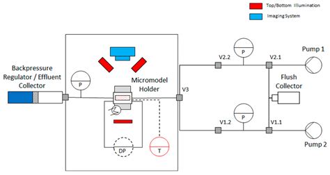 Selecting Eor Polymers Through Combined Approaches—a Case For Flooding In A Heterogenous Reservoir