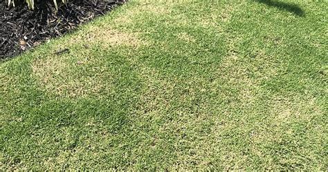 Beforeafter Pgf Complete Album On Imgur