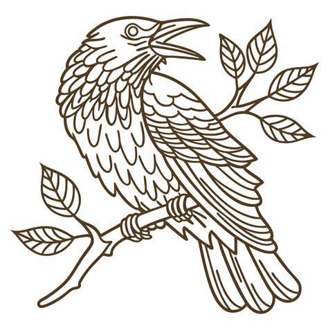 Detailed Line Art Illustration Of A Raven Perched On A Leafy Branch
