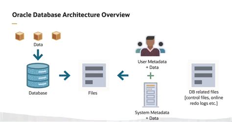 Oracle Database Là Gì Tổng Quan Chi Tiết Về Oracle Db 2024