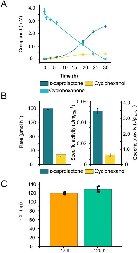 Employing Photocurable Biopolymers To Engineer Photosynthetic 3d