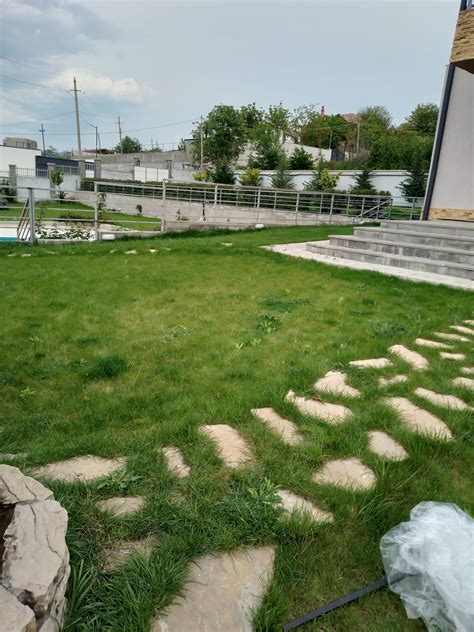 ბაღის მოვლა გამწვანება Tbilisi