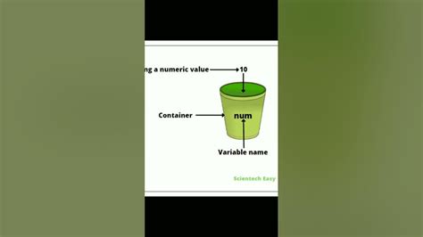 What Is Variable In Javascript Javascript Frontend Webdevelopment Webdeveloper Youtube