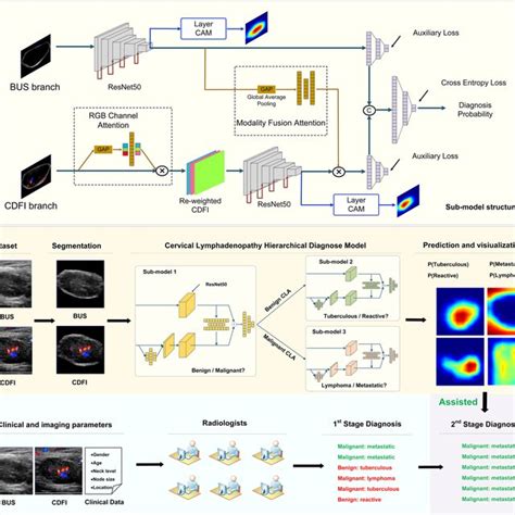 Proposed Deep Learning Based Hierarchical Diagnostic Model Cla Hdm To