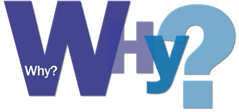 website solutions seattle web design company seo experts
