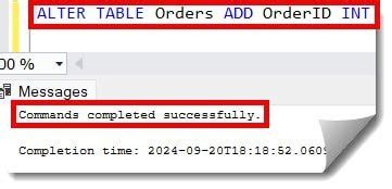 How To Remove Identity Column In SQL Server DataBaseBlogs