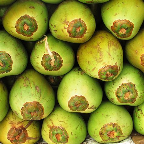 Безплатна снимка растение плодове семена храна зелен продукция тропически пазар