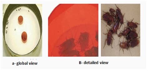 Figure 5 From Border Security And Surveillance System Using Iot Semantic Scholar