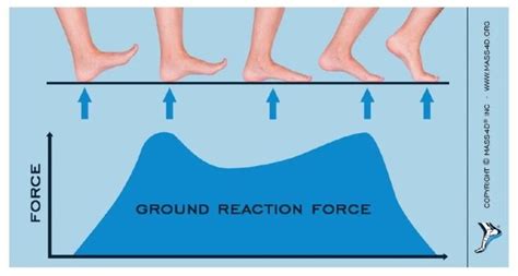 Does Nordic Walking Technique Influence The Ground Reaction Forces Inwa Nordic Walking