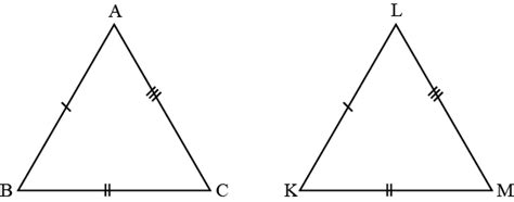 Class 9 Practice Level 1 Triangles Symmetric Angles