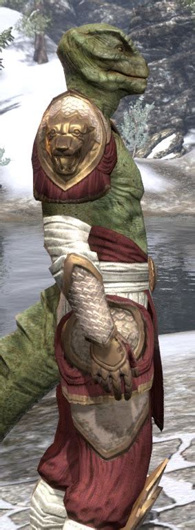 Eso Fashion Sai Sahan Elder Scrolls Online