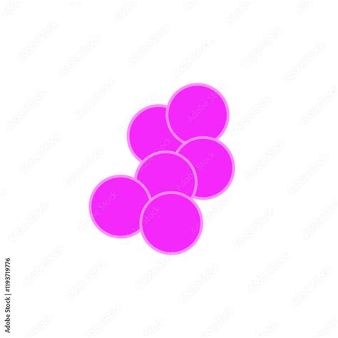 Coccus Bacteria Coccus Morphology Microbiology Spherical Shapes