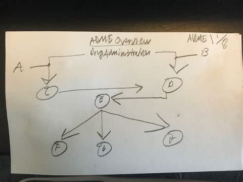 Adme Overview Diagram Quizlet