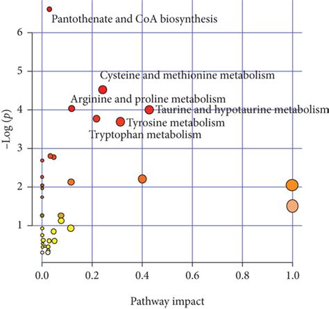 Metabolic Pathway Analysis By Metaboanalyst Day 7 Urine A Day 21