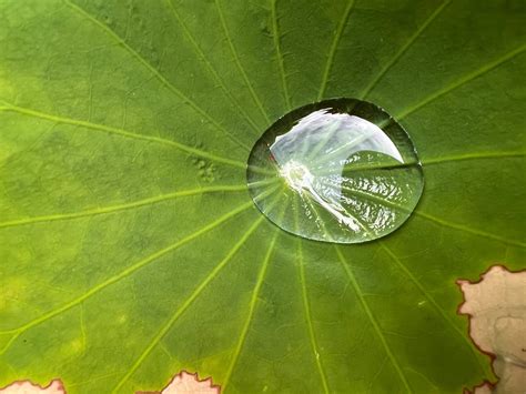 Serialization Towards Data Science