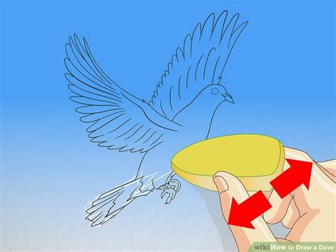How To Draw A Dove 15 Steps With Pictures WikiHow