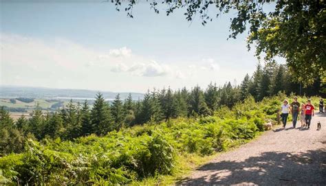 Wonderful Walks Around Exeter Visit Exeter