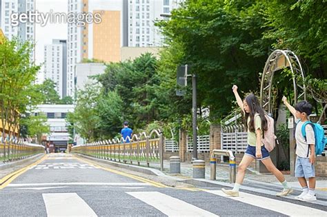 어린이 나이 학교생활 출석 움직이는활동 초등학생 손들기 횡단보도 로드마킹 스쿨존 인조공간 Jv12552050 게티이미지뱅크