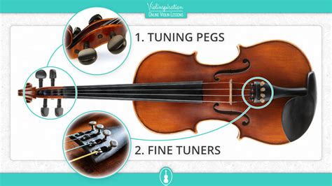 How Many Strings Does A Violin Have Your Questions Answered Violinspiration