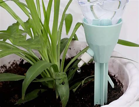 화분에 심은 물방울 관개를위한 3pcs 자동 자체 급수 자동 급수 도저 여행 휴일 조절 식 도저 시 Temu Republic