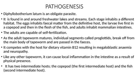 Diphyllobothrium Latum Pptx Pptx