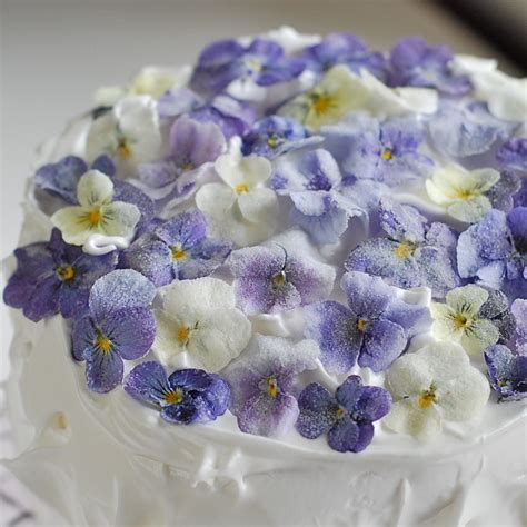 Cake Edible Flower Decorations At Catherine Dorsey Blog