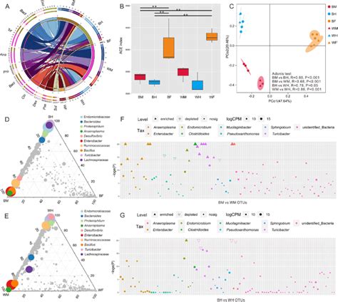 Comparison Of Microbial Community Structures Based On 16s Rrna Gene Download Scientific Diagram