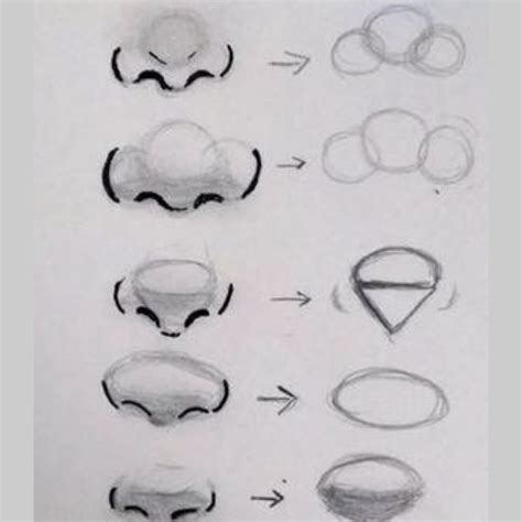 How To Draw A Nose Front View