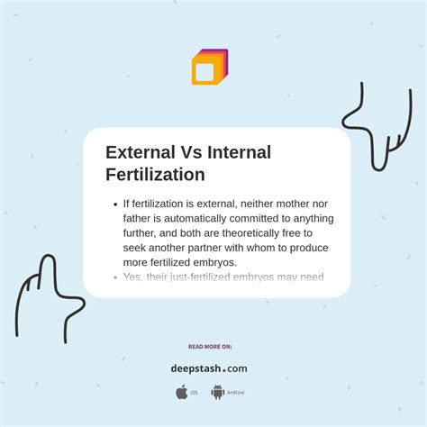 external vs internal fertilization deepstash