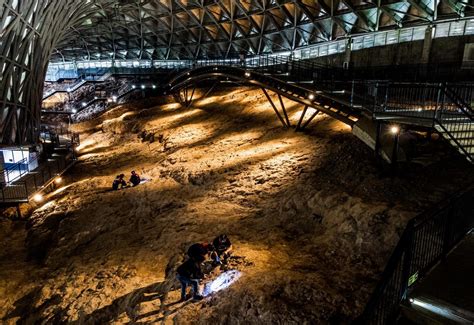 Scientists Just Cracked An 85 Million Year Old Dinosaur Egg Mystery