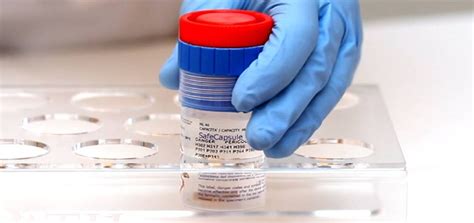 Diapath Constant Innovation In Anatomic Pathology