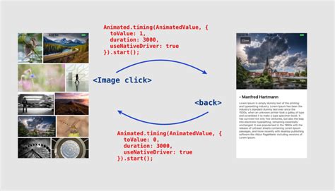 shared element transition with react native