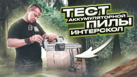 Пила цепная акк. б/щ Интерскол АПИ ПЦА-10/18В Li-ion (картон, без акк ...