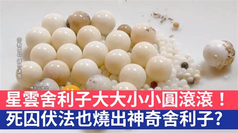 星雲舍利子圓滾滾！死囚伏法火化也燒出神奇舍利子 舍利子到底是如何形成的？ 佛光山開山星雲大師荼毘圓滿 燒出大量的舍利子 也引發各界對舍利子的好奇！ By 三立set 驚爆新聞線