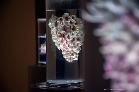 Art And Speculative Biology Eva Casini