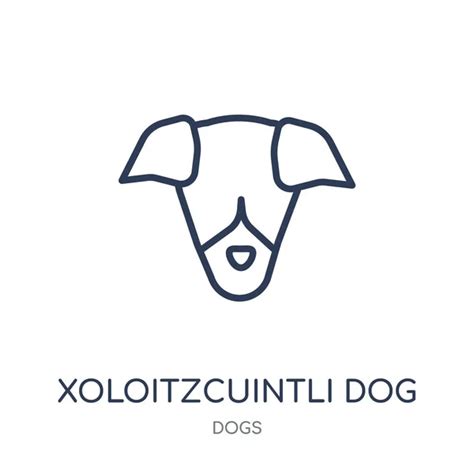 Cockapoo Dog Icon Cockapoo Dog Linear Symbol Design Dogs Collection